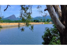 Kalimala Temple, Pathukani - Kanyakumari district Western Ghats ...
